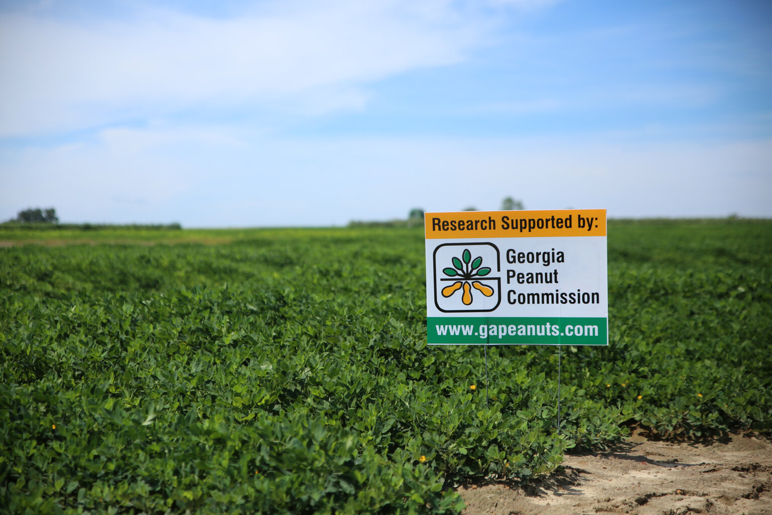 Georgia Peanut Comission – Working for Farmers