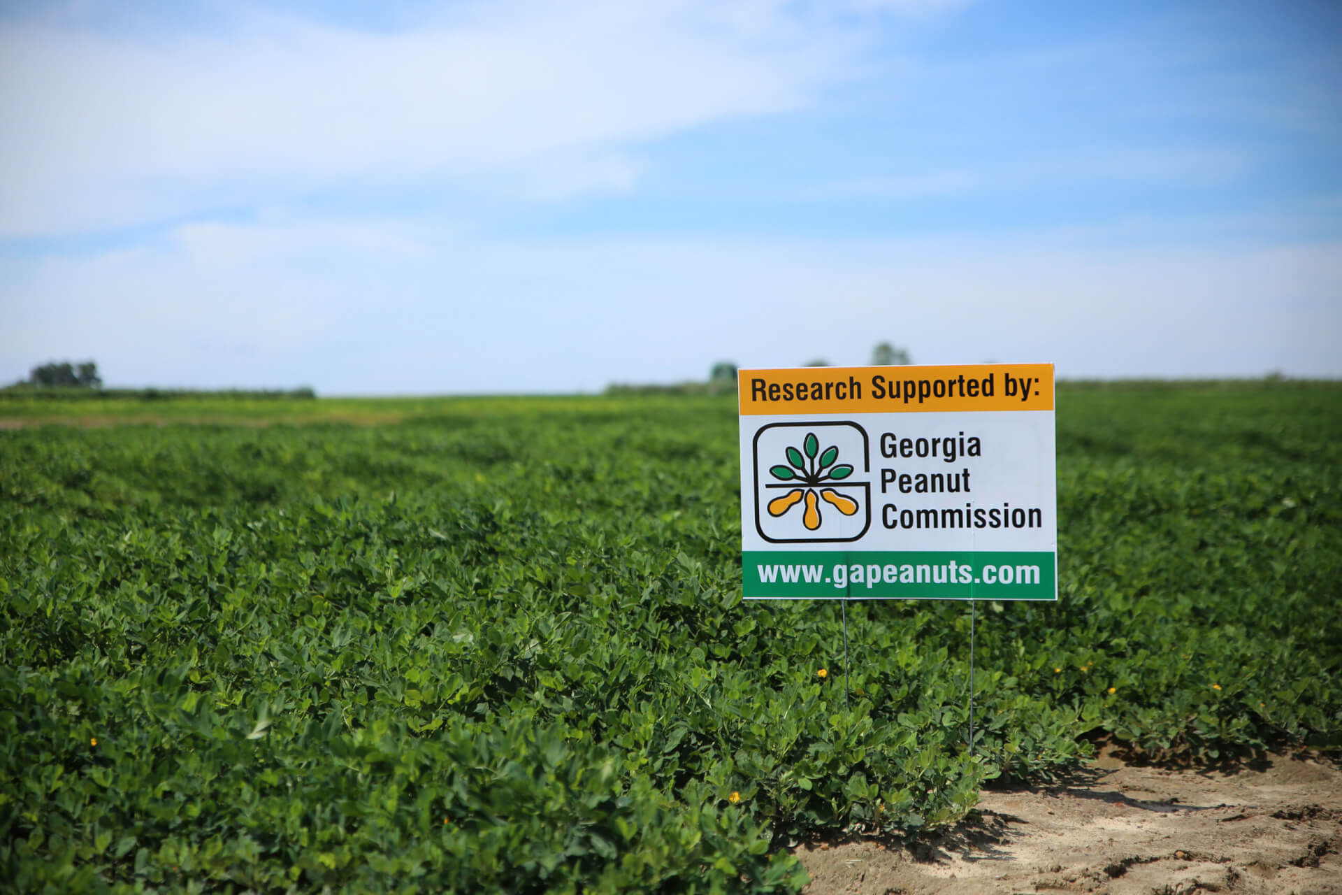Georgia Peanut Comission – Working for Farmers