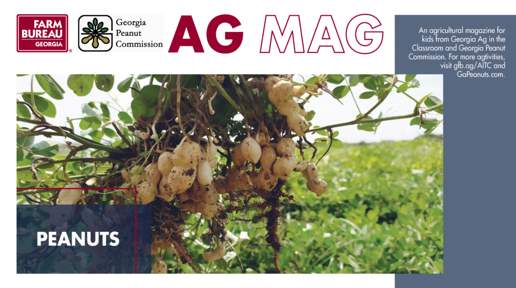 Educational Resources – Georgia Peanut Commission