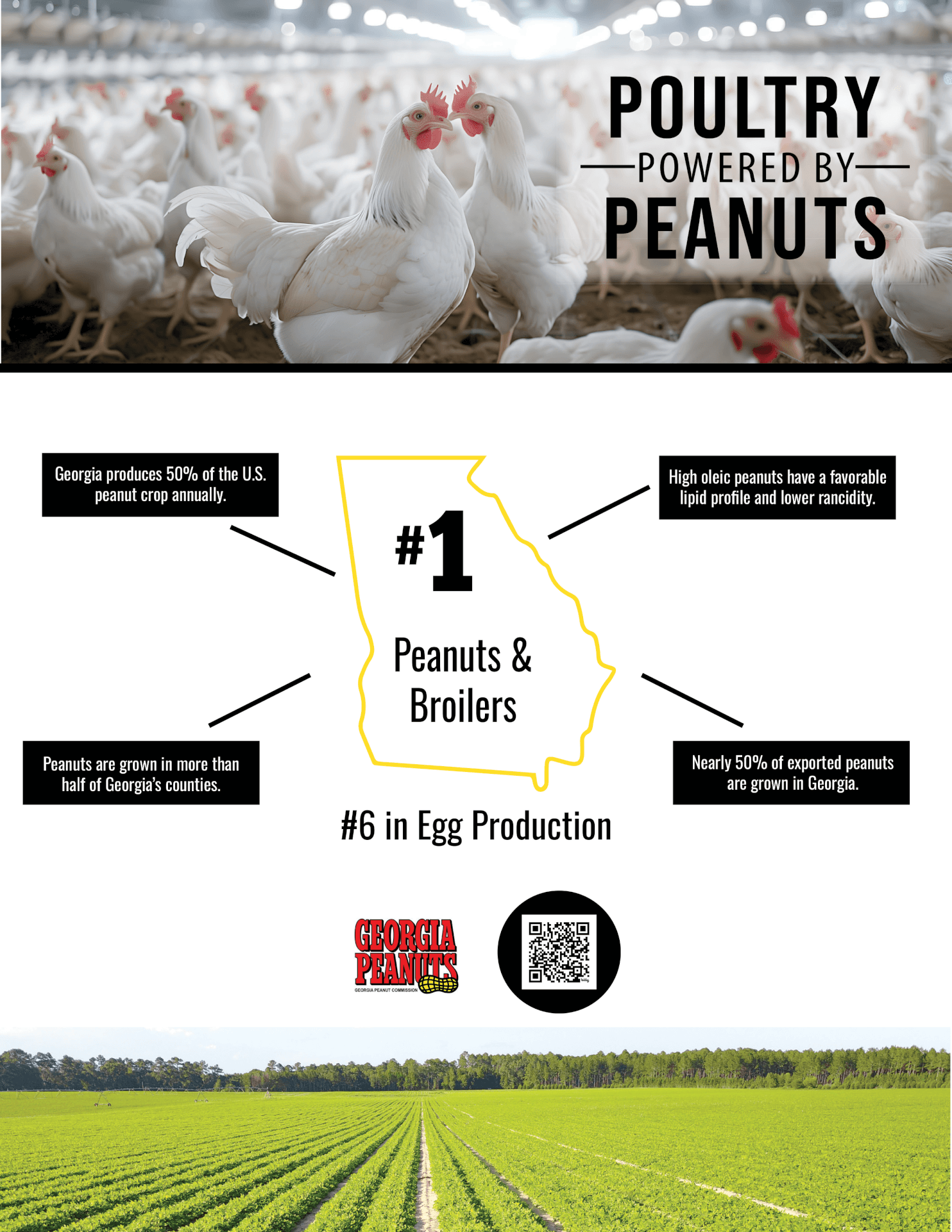 Poultry – Georgia Peanut Commission
